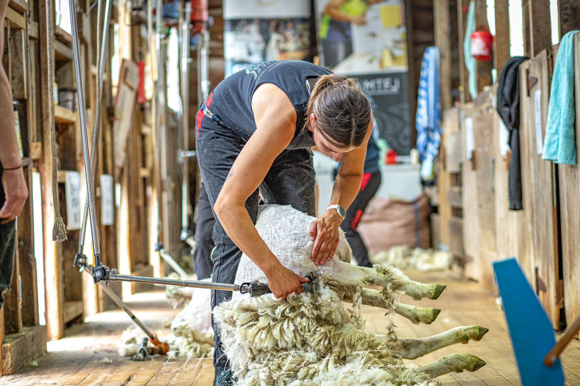Wāhine in the wool industry | Trust Tāirawhiti